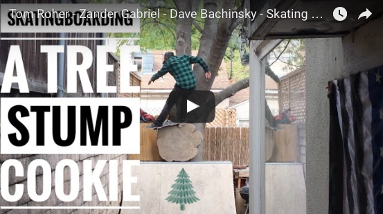 Dave Bachinsky - Skating A Tree Stump Full Edit – Grizzly Griptape